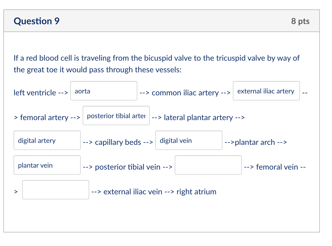 Solved Fill in the blanks with the correct answers | Chegg.com