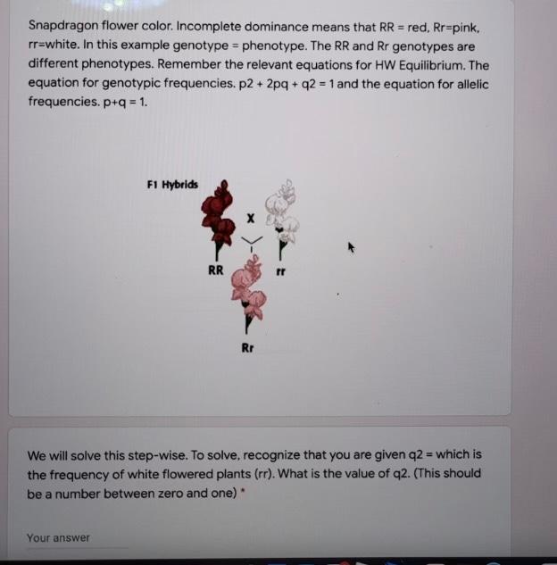 Solved Snapdragon flower color. Incomplete dominance means | Chegg.com