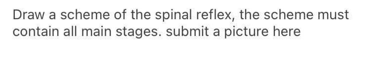 Solved Draw a scheme of the spinal reflex, the scheme must | Chegg.com