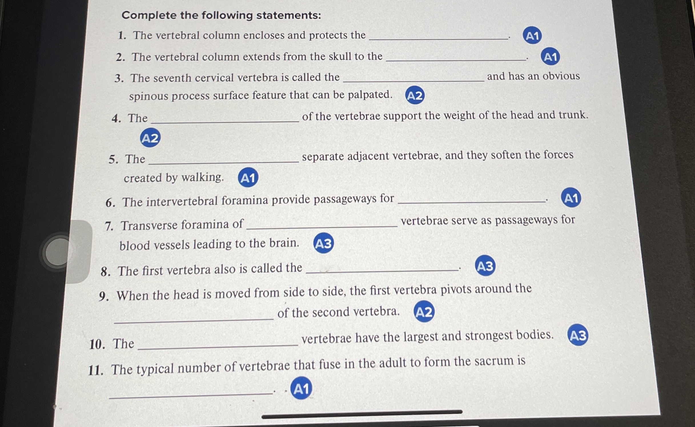 Solved Complete the following statements:The vertebral | Chegg.com