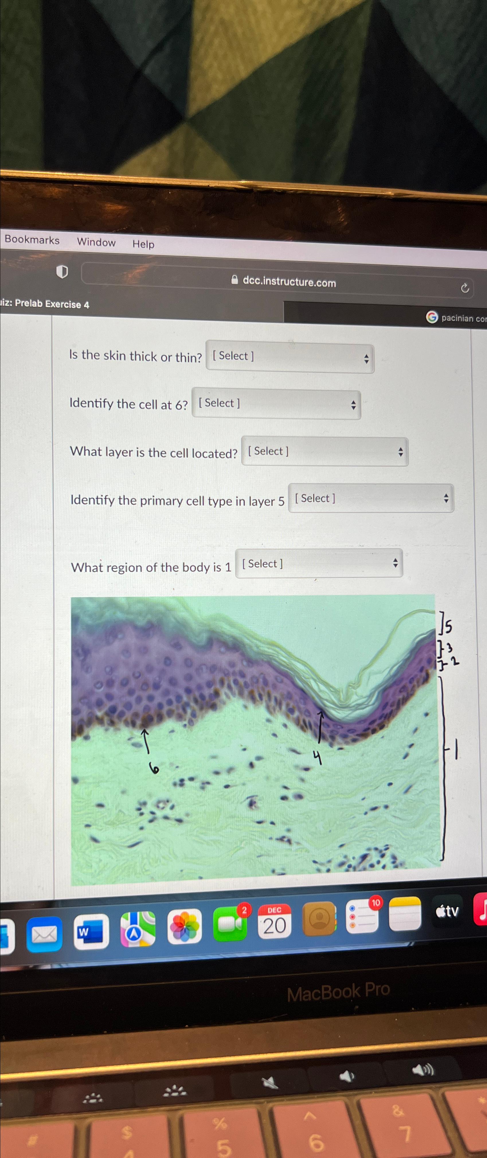 Solved Bookmarks Window Help(1)В ﻿dcc.instructure.comciz: | Chegg.com