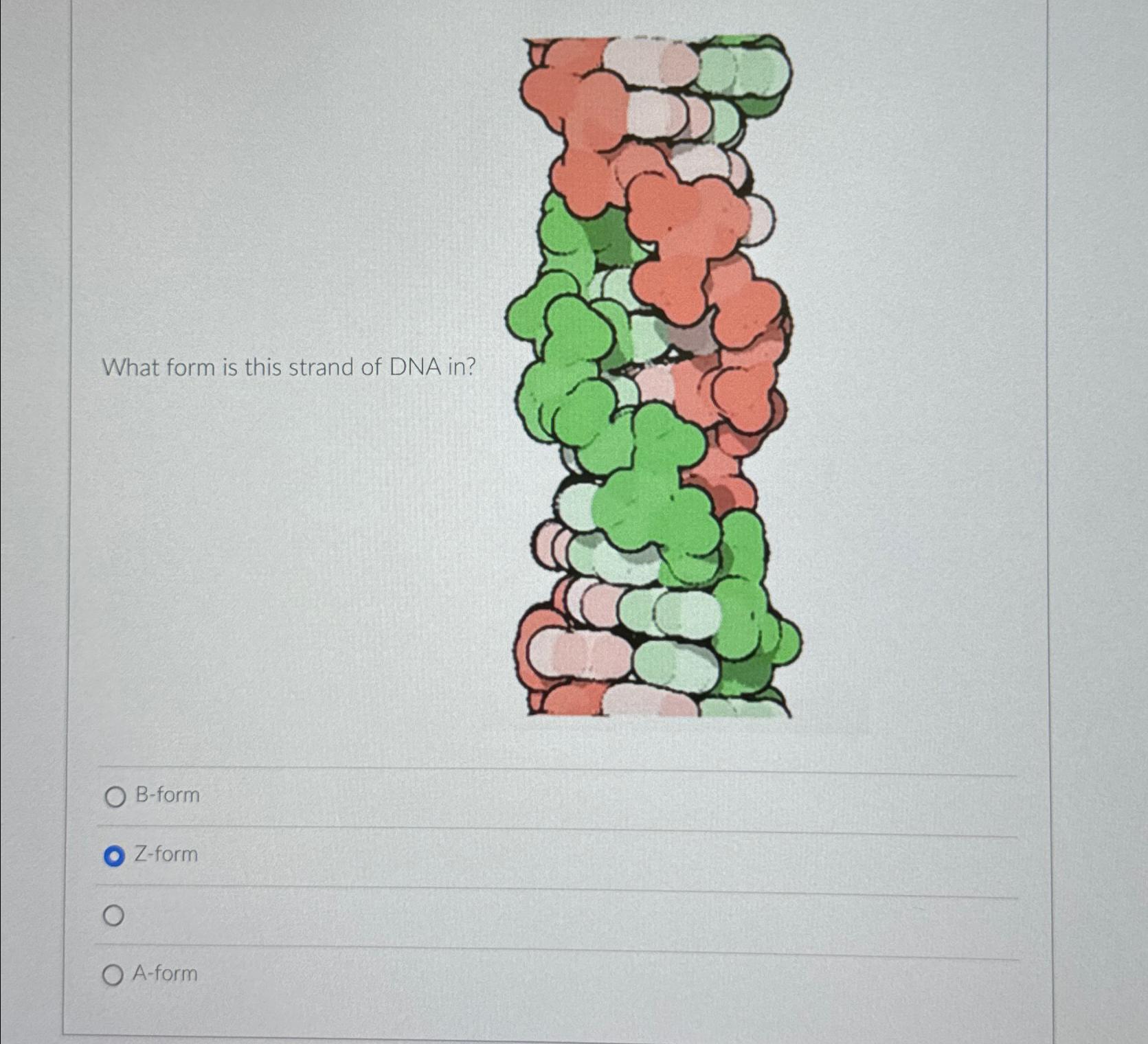 Solved What form is this strand of DNA in?B-formZ-formA-form | Chegg.com