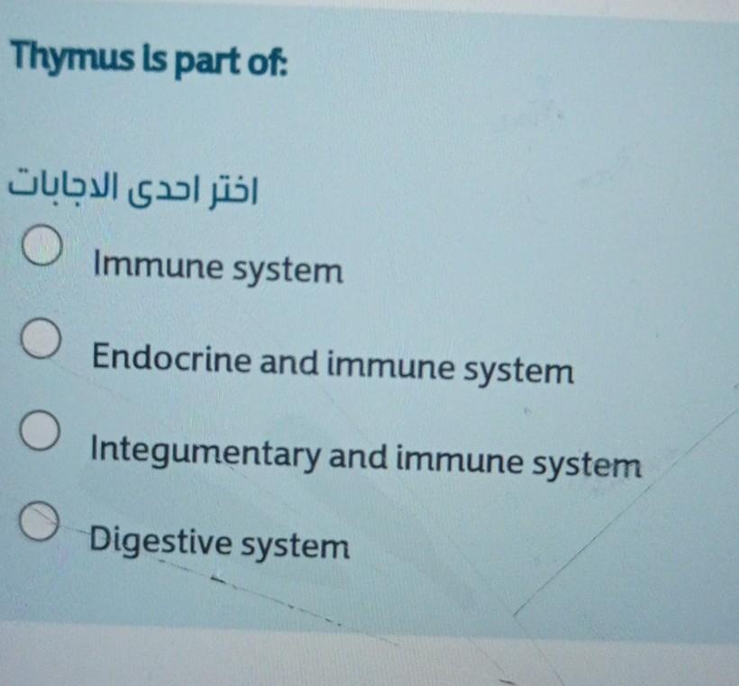 Solved Thymus is part of اختر احدى الاجابات Immune system O | Chegg.com