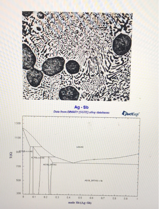 Solved Problem 1 (20 points) Using the microstructure | Chegg.com