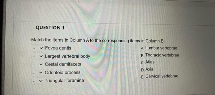 Match the items in Column A to the corrosponding | Chegg.com