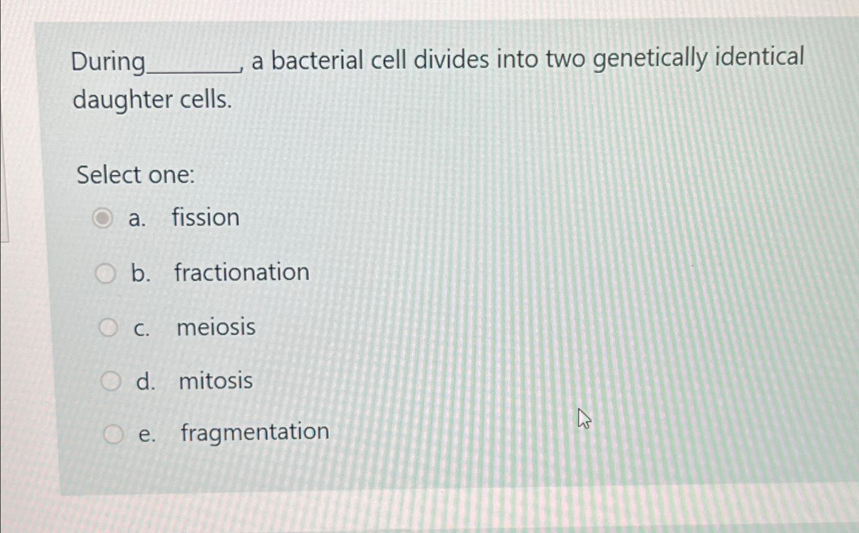 Solved During a bacterial cell divides into two genetically | Chegg.com