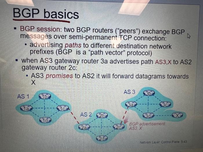 Solved BGP basics BGP session: two BGP routers ("peers") | Chegg.com