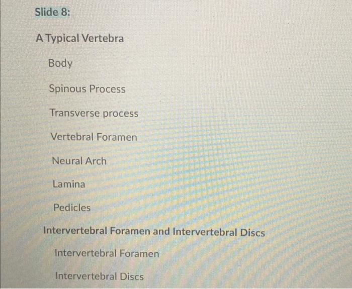 Solved Slide 8: A Typical Vertebra Body Spinous Process | Chegg.com