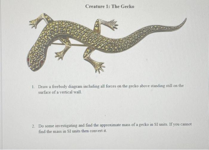 Solved Creature 1: The Gecko 1. Draw a freebody diagram | Chegg.com