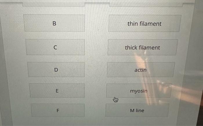 Solved one in between that is called the intermediate layer. | Chegg.com