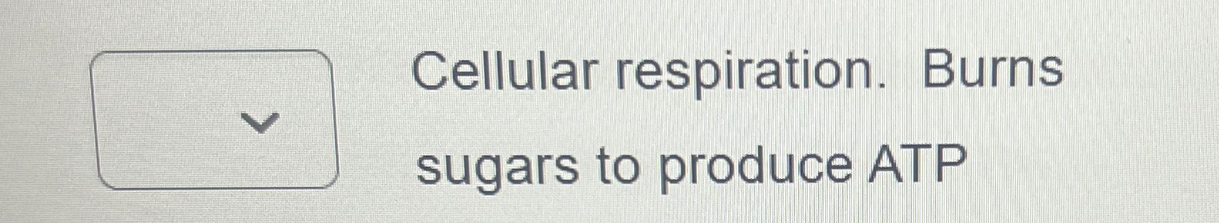 Solved Describe the function of adenosine triphosphte (ATP) | Chegg.com