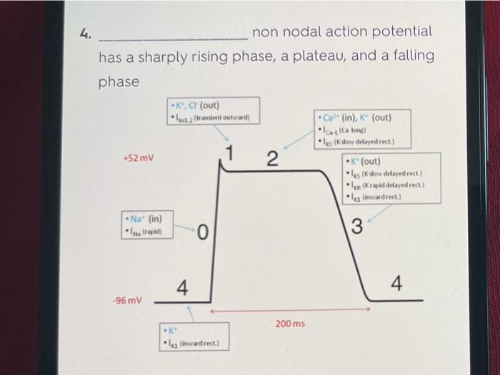 Solved 4. non nodal action potential has a sharply rising | Chegg.com
