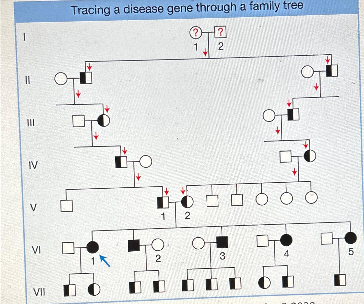 Solved Tracing a disease gene through a family tree | Chegg.com