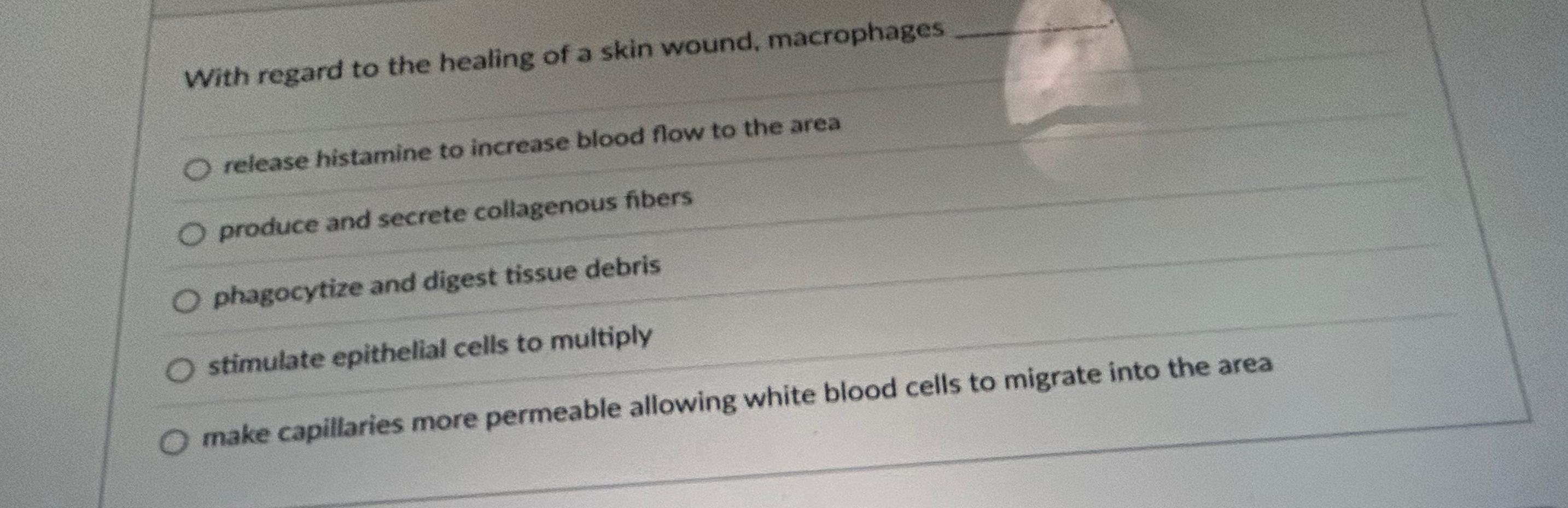 Solved With regard to the healing of a skin wound, | Chegg.com