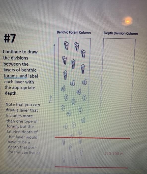Solved Benthic Foram Column Depth Division Column #7 ccm | Chegg.com