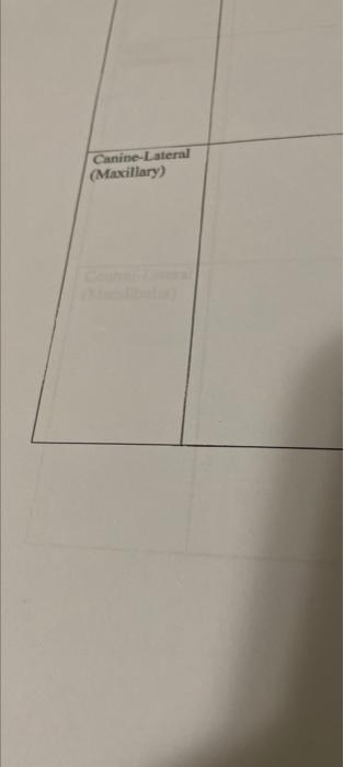 Solved Complete the following chart by drawing the tooth, | Chegg.com