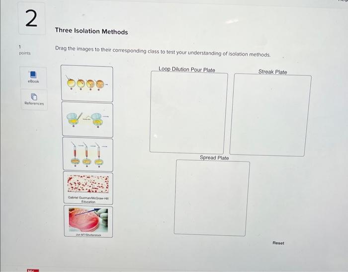 Solved Drag the images to their corresponding class to test | Chegg.com