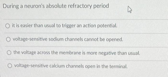 Solved During a neuron's absolute refractory period it is | Chegg.com
