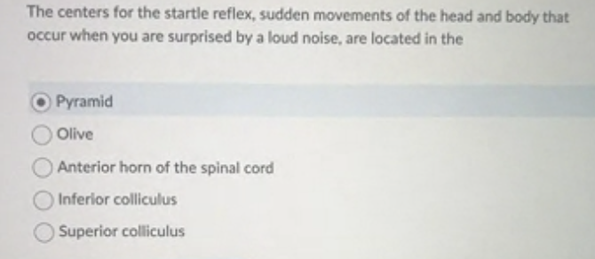 Solved The centers for the startle reflex, sudden movements | Chegg.com
