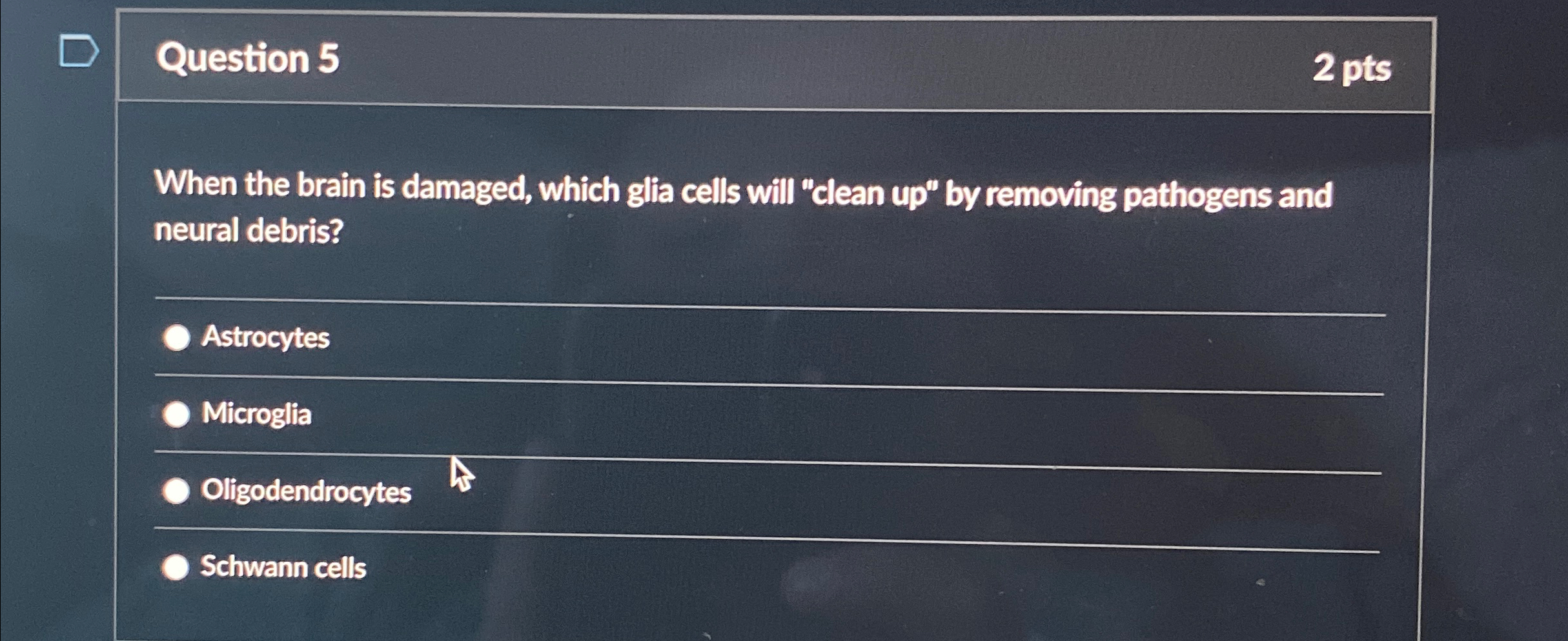 Solved Question 52 ﻿ptsWhen the brain is damaged, which glia | Chegg.com