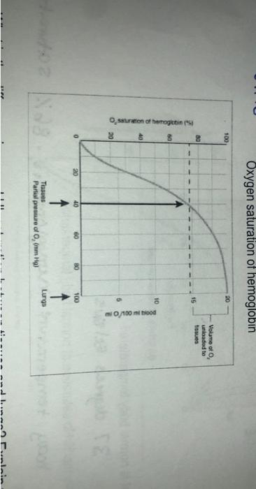 Solved 3. Comparing the Hb saturation at pO2 of 100mmHg and | Chegg.com