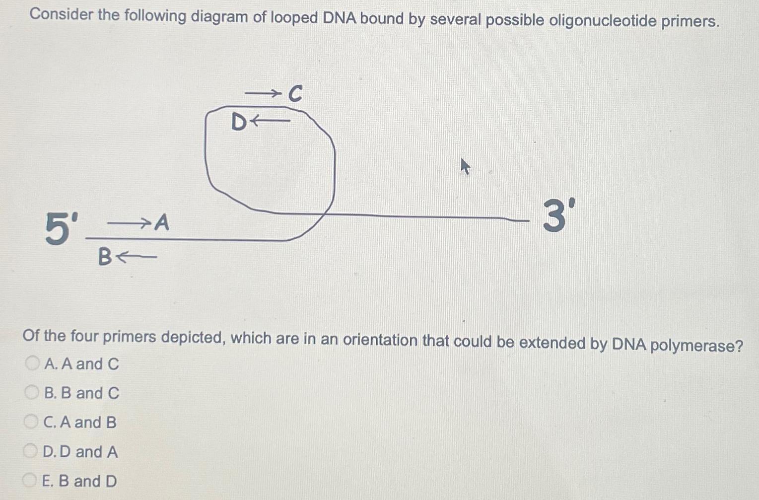Solved Consider the following diagram of looped DNA bound by | Chegg.com
