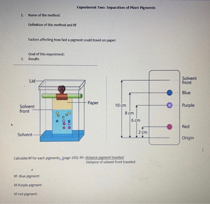 Solved Experiment Two: Separation of Plant Pigments 1. Name | Chegg.com