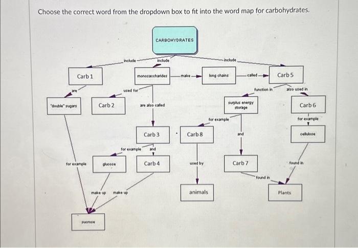 Solved Choose the correct word from the dropdown box to fit | Chegg.com