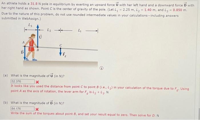 Solved An athlete holds a 31.8 N pole in equilibrium by | Chegg.com
