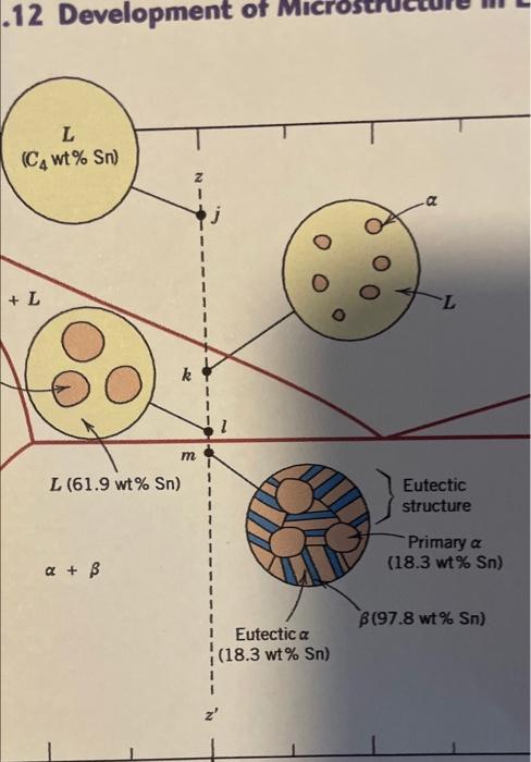 Solved sketch the microstrutcure from given sketch of | Chegg.com