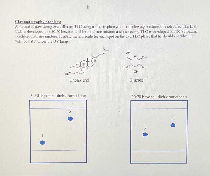 Solved Chromatography problem: A student is now doing two | Chegg.com