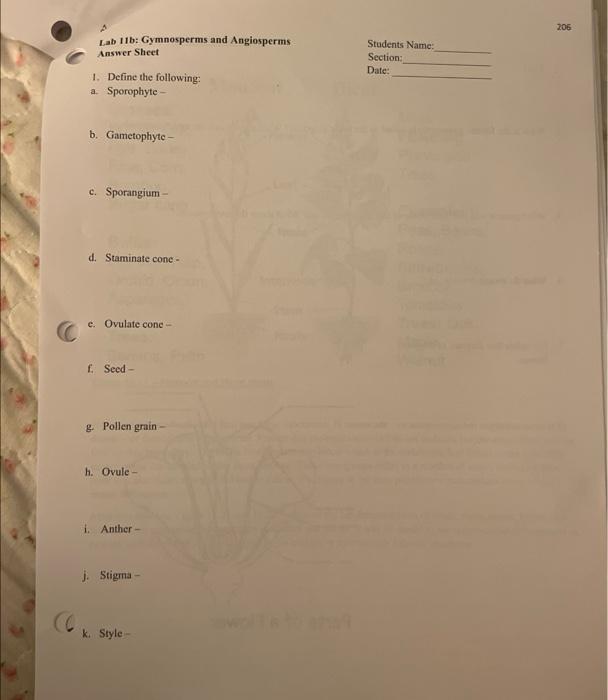 Solved Lab IIb: Gymnosperms and Angiosperms Answer Sheet 1. | Chegg.com