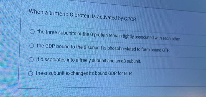 Solved TH When a trimeric G protein is activated by GPCR the | Chegg.com