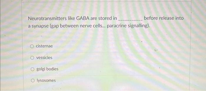 Solved Neurotransmitters like GABA are stored in before | Chegg.com