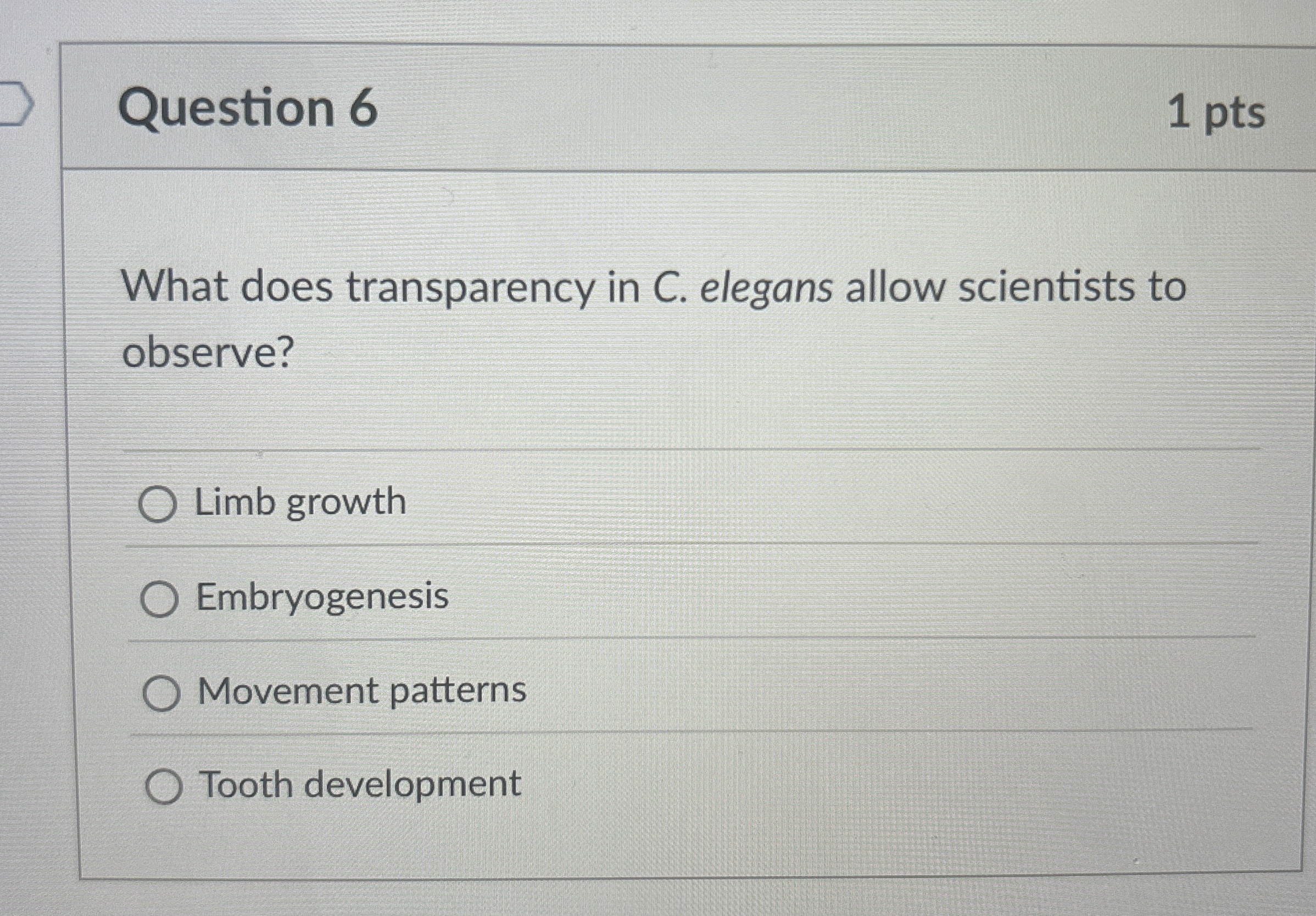 Solved Question 6What does transparency in C. ﻿elegans allow | Chegg.com