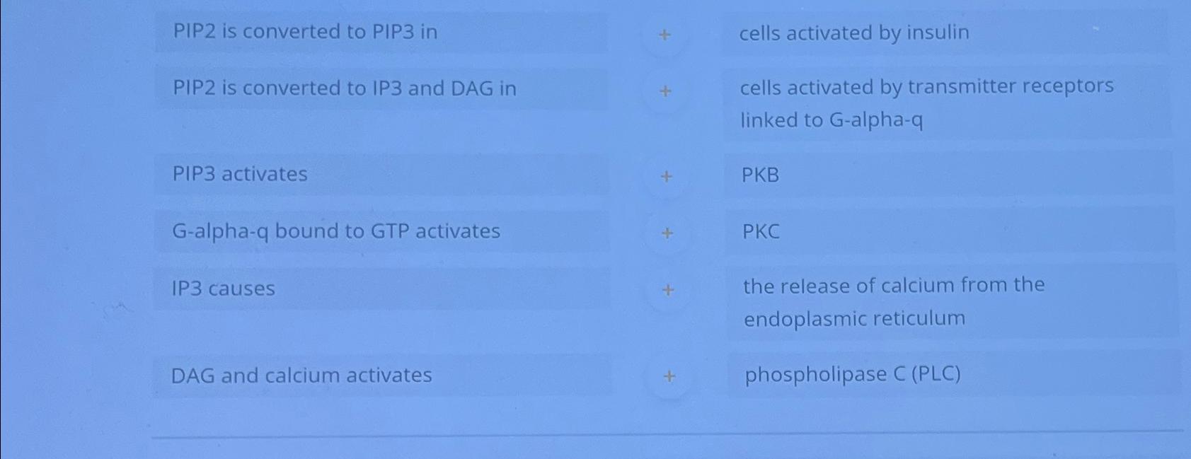 Solved PIP2 ﻿is converted to PIP3 ﻿inPIP2 ﻿is converted to | Chegg.com