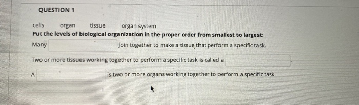 Solved QUESTION 1 cells organ tissue organ system Put the | Chegg.com