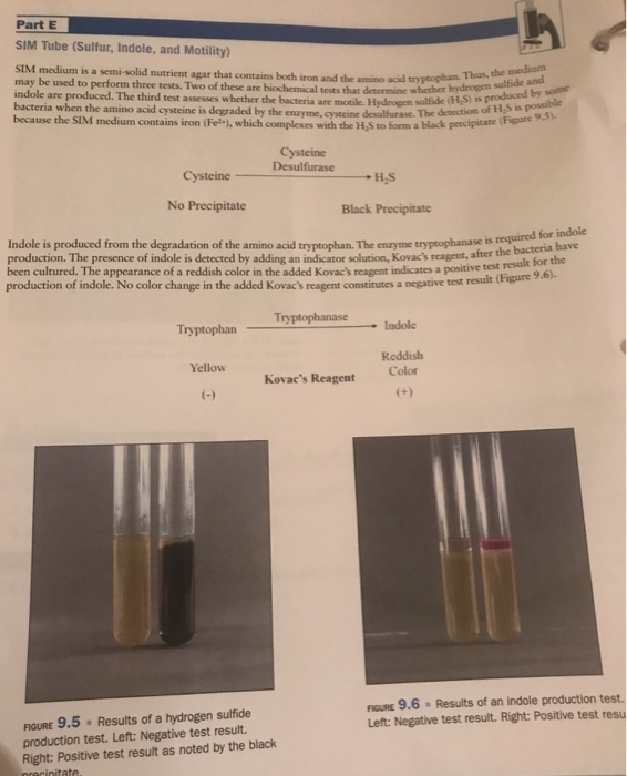 Solved Negative TABLE 9.2. Description of the Appearance of | Chegg.com