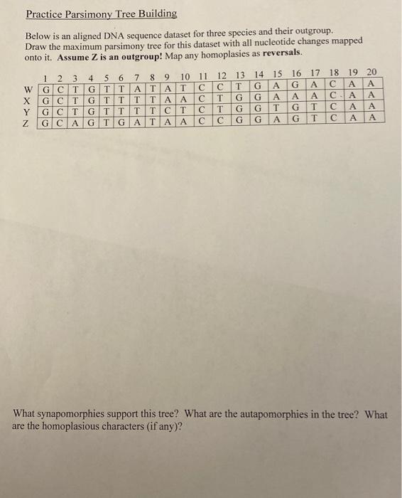 Solved Practice Parsimony Tree Building Below is an aligned | Chegg.com