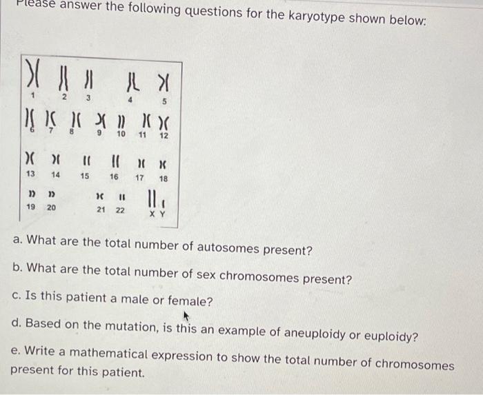 Solved Se answer the following questions for the karyotype | Chegg.com