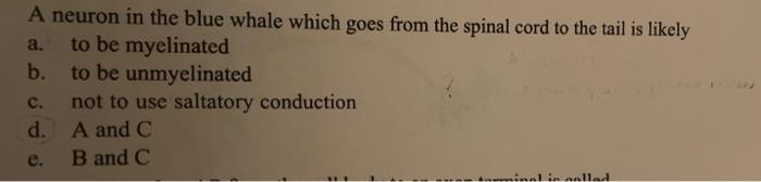 Solved A neuron in the blue whale which goes from the spinal | Chegg.com