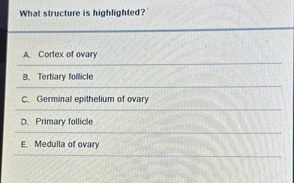 Solved What structure is highlighted?A. ﻿Cortex of ovaryB. | Chegg.com