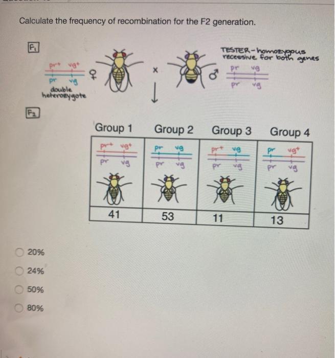 Solved Calculate the frequency of recombination for the F2 | Chegg.com