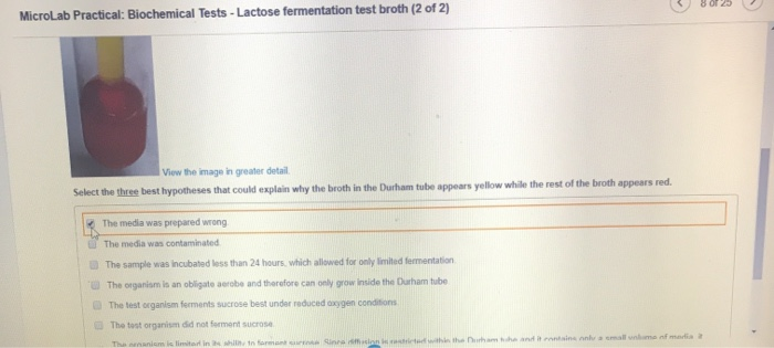 Solved MicroLab Practical: Biochemical Tests - Lactose | Chegg.com