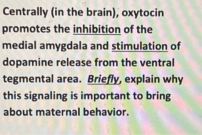 Solved Centrally (in the brain), oxytocin promotes the | Chegg.com