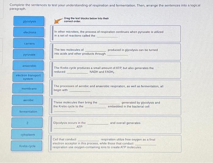 Solved Complete the sentences to test your understanding of | Chegg.com