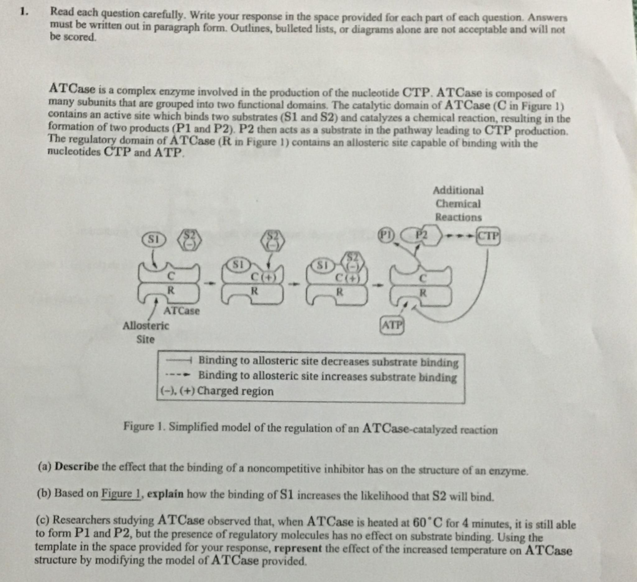 Solved Read each question carefully. Write your response in | Chegg.com