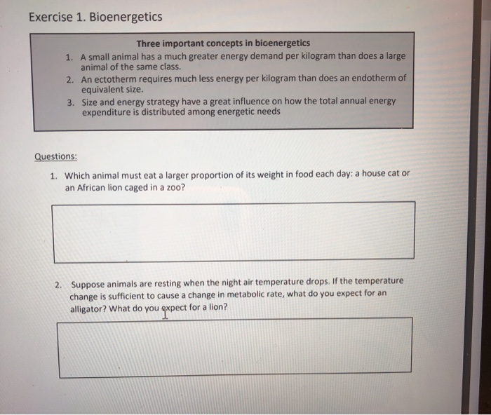 Solved Exercise 1. Bioenergetics Three important concepts in | Chegg.com
