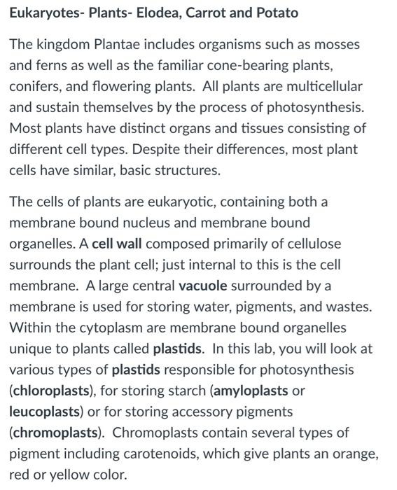 Eukaryotes-Plants-Elodea, Carrot and Potato The | Chegg.com