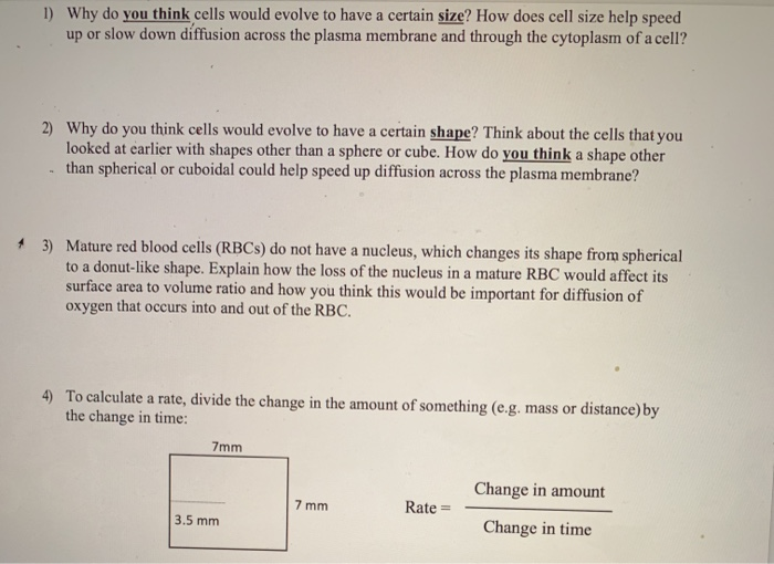 DIFFUSION POST-LAB Observation: Table 1: Calculating | Chegg.com